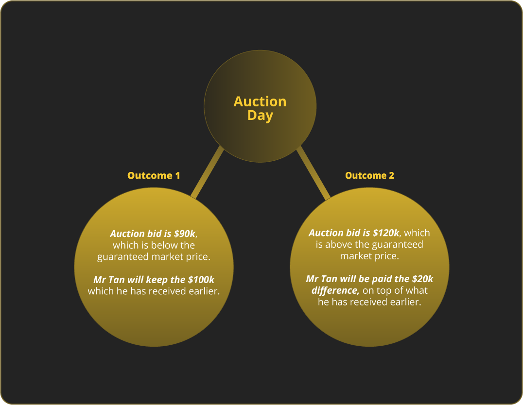 New Homepage – DASS